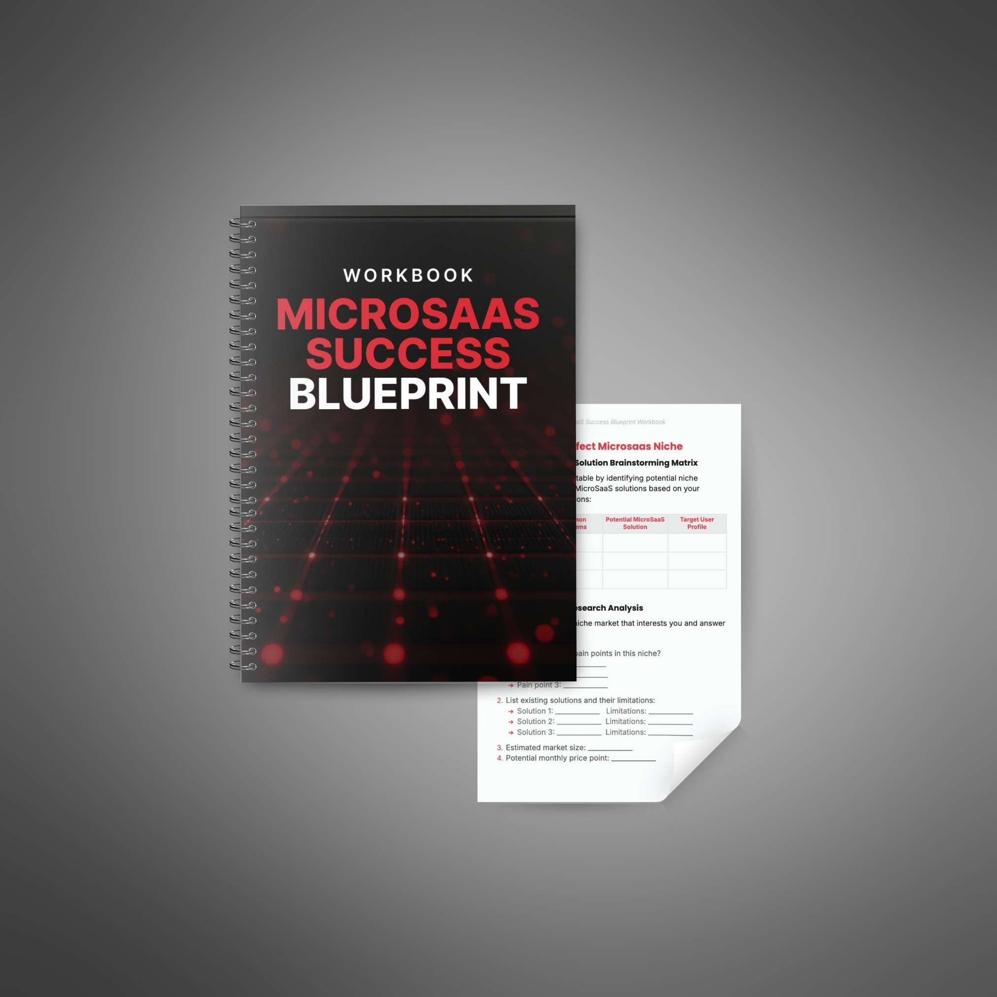 MicroSaaS Success Blueprint - Workbook | Entrepedia